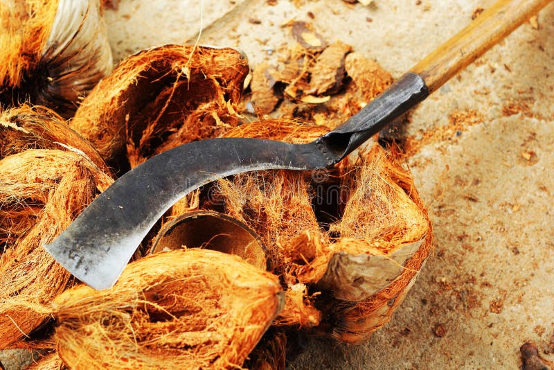 White Coconut and Brown Spathe with Knife. Stock Image - Image of brown ...