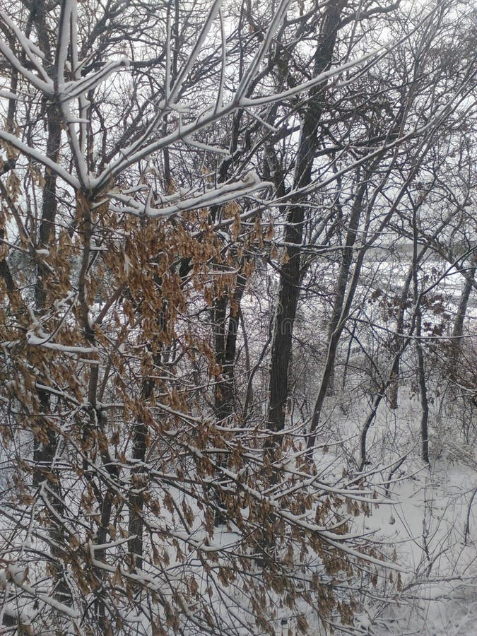 White, Cold, and Mysterious Stock Photo - Image of white, winter: 165486640