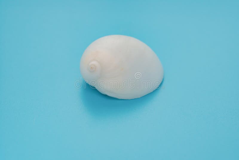 Blue Color Matchbox with Blue Match Sticks on a Wood Table Stock Image ...