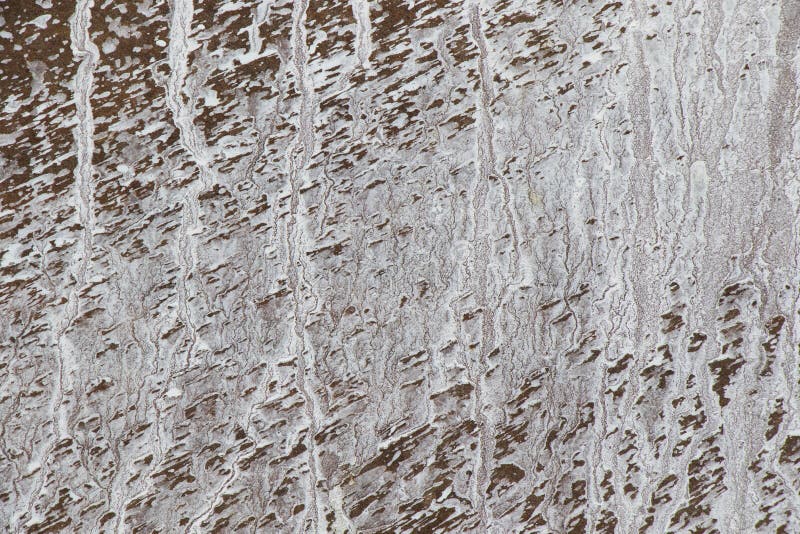 White Color Paint Texture and Background, Abstract Paint Stock Photo ...