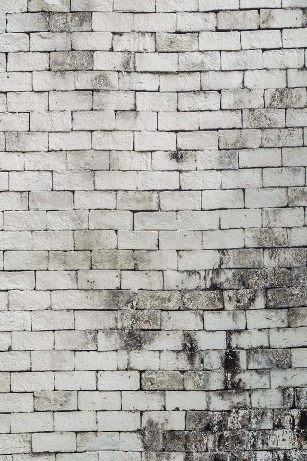 White Color Painted Brick Wall Texture. Stock Image - Image of brick ...