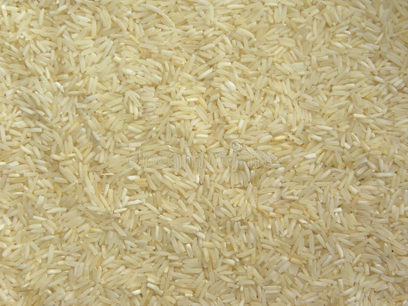 White Color Raw Basmati Rice Stock Image - Image of agriculture, food ...