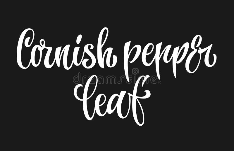 Logo Cornish Stock Illustrations – 101 Logo Cornish Stock Illustrations ...