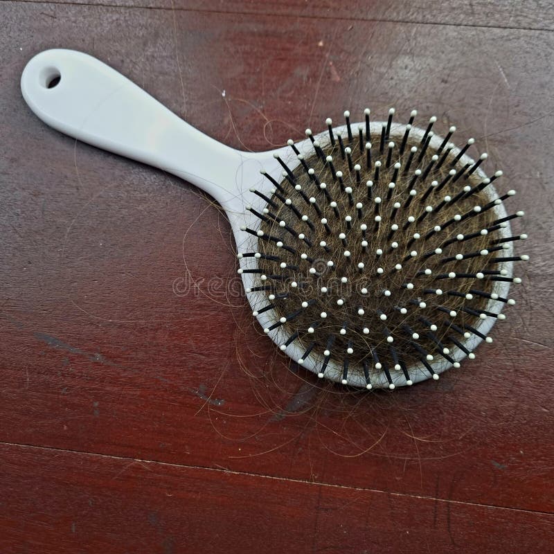 A white comb full of hair stock photo. Image of pattern - 255454064