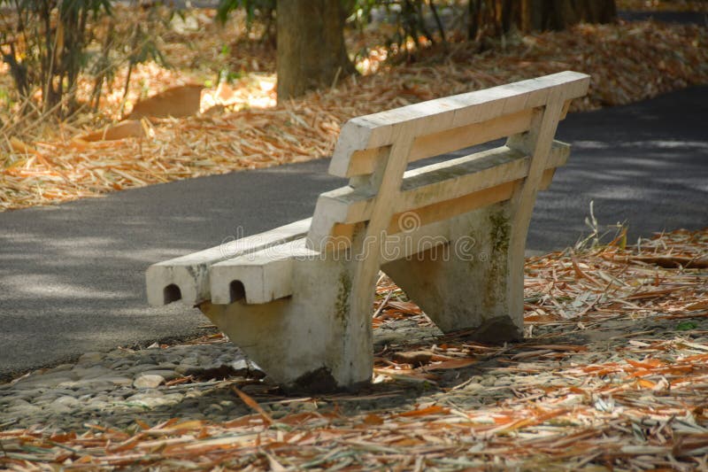White Concrete Bench Under the Trees Stock Photo - Image of tranquility ...