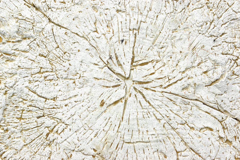 Decorative Concrete Tree