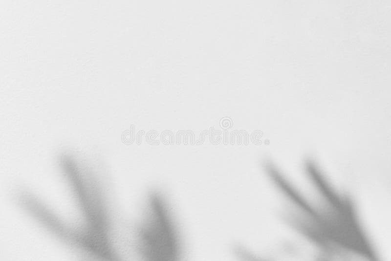 White Concrete Paint Wall with Shadow of Tree. Stock Photo - Image of ...