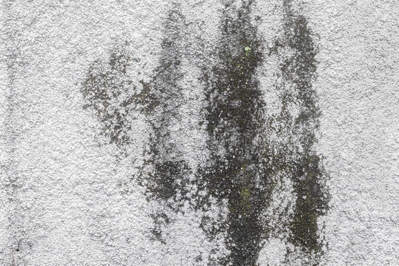 White Concrete Wall with Black Stains Background Texture Stock Photo ...