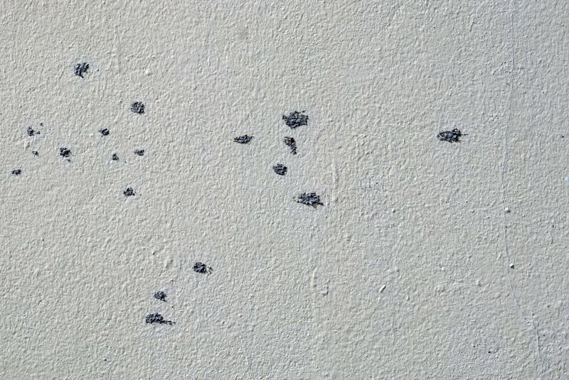 A White Concrete Wall with a Little Bit Plaster Stick on the Wall ...