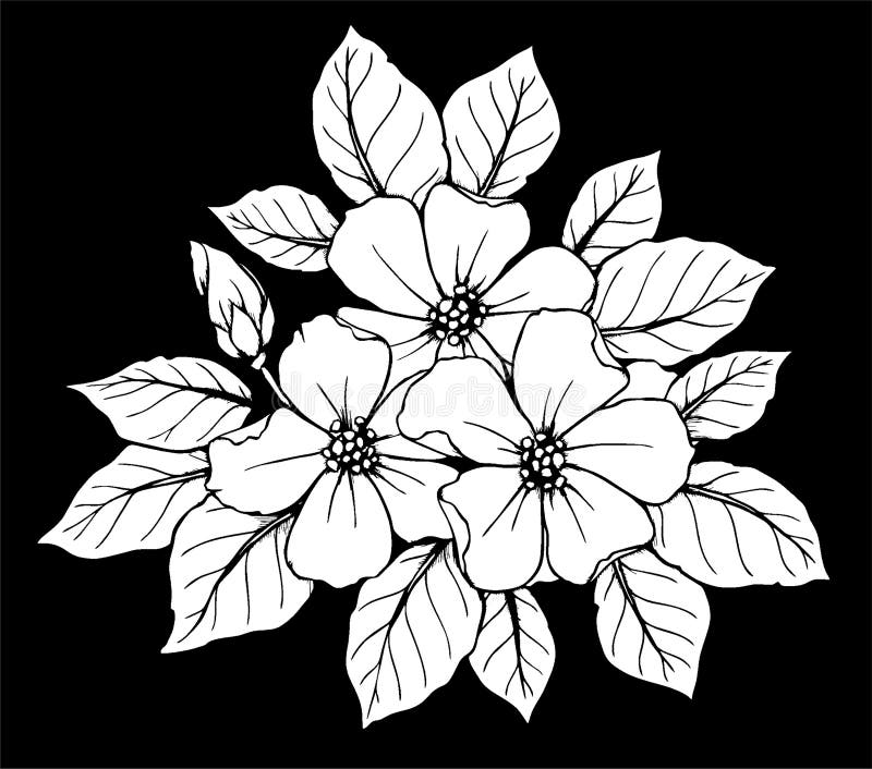 White Contour Drawing of a Flower on a Black Background, Logotype Stock ...