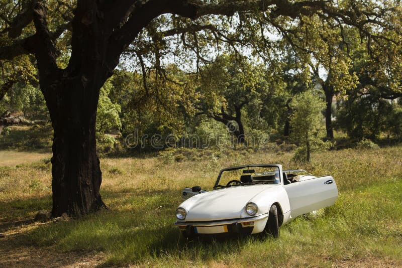 White convertible car stock image. Image of summer, beautiful - 33401945