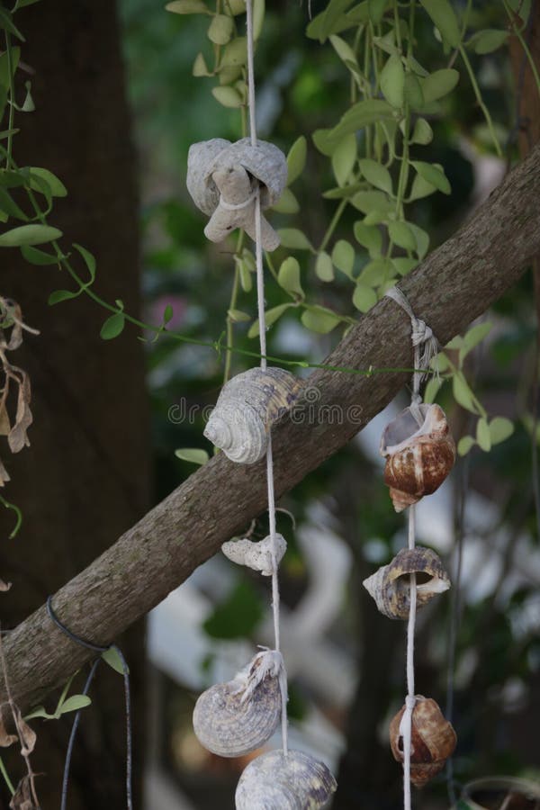 Memory from the Beach on Summer Holidays Stock Photo - Image of beach ...