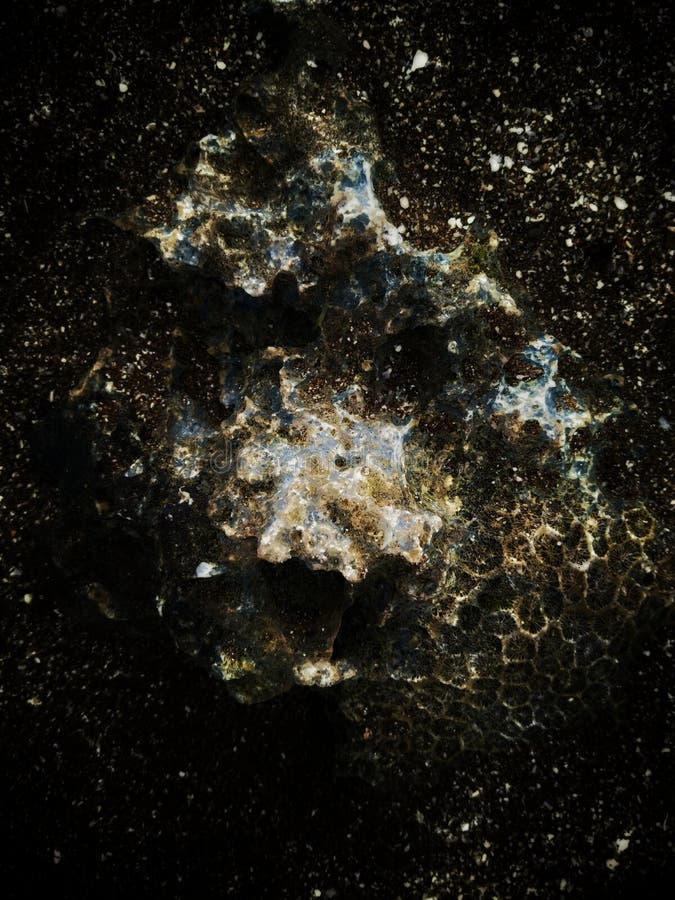 White Coral Rocks Buried in Dark Sand, the Coral Rocks Appear Sharp or ...