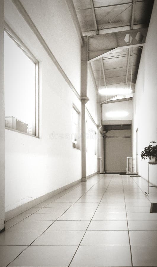 The white coridor stock image. Image of design, monochrome - 234379679