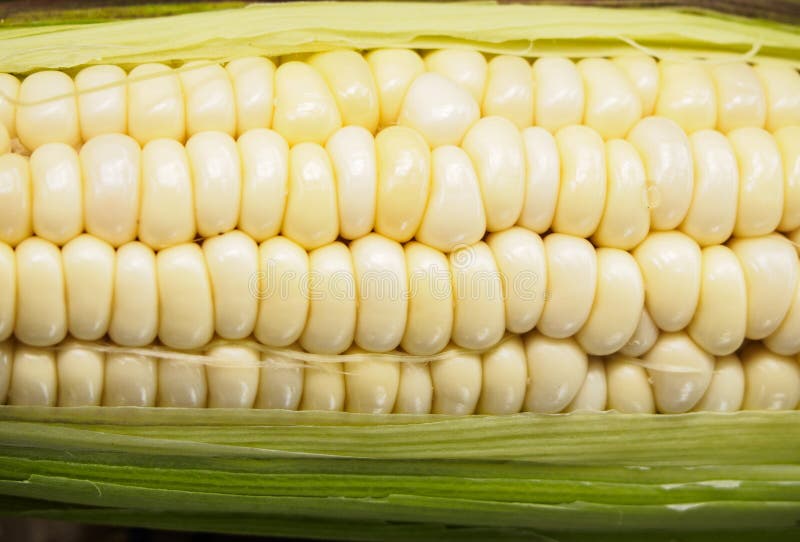 Nipawadee Patana (Npatana) - Photographer profile