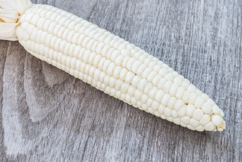 White corn stock image. Image of husk, organic, corn - 19909021