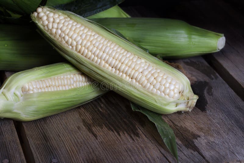White Corn Images
