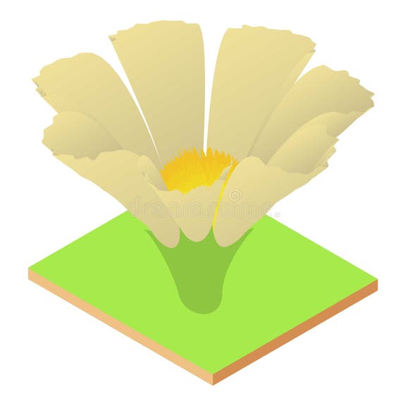 White Cosmea Icon, Isometric Style Stock Illustration - Illustration of ...