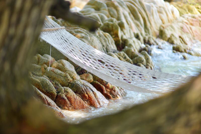White Cradle Tied Beach Beach Tree Stock Photo - Image of horizontal ...