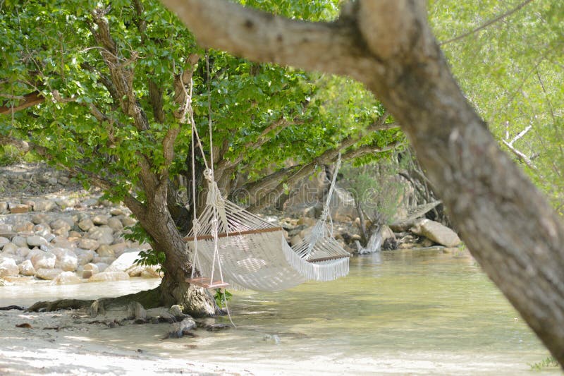 White Cradle Tied Beach Beach Tree Stock Photo - Image of horizontal ...