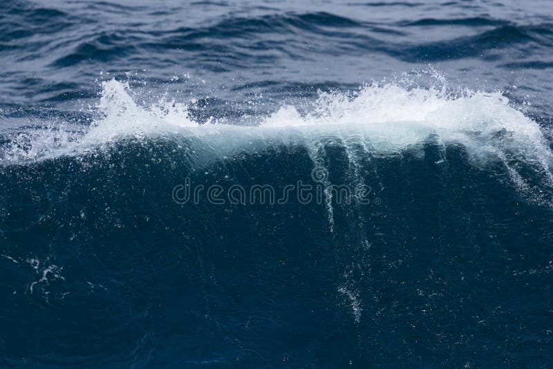 White Crest of a Sea Wave. Selective Focus Stock Photo - Image of deep ...