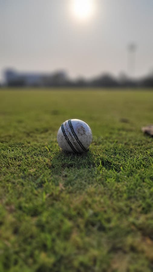 White Cricket Ball on Cricket Field. this is a Used Ball and the Ball ...