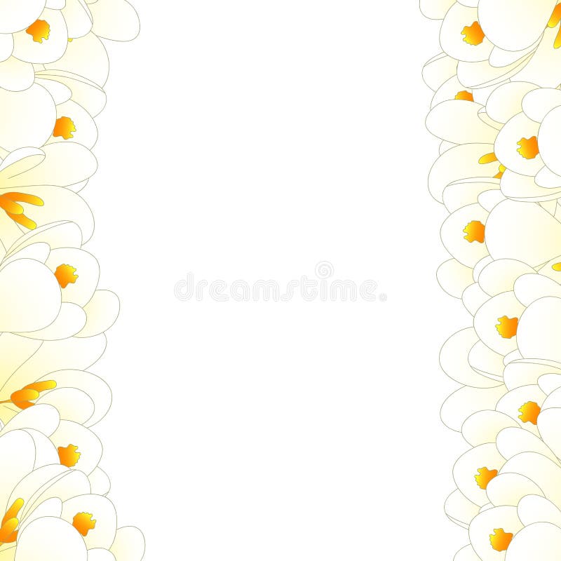 White Crocus Flower Border. Vector Illustration Stock Vector ...