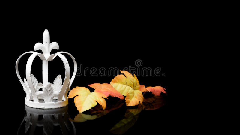 White Crown stock image. Image of fame, isolated, accessory - 32963219