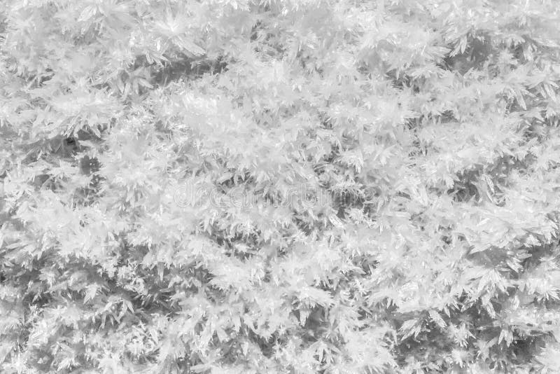 White crystals stock photo. Image of natural, lots, mineral - 270527832