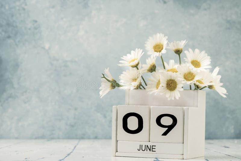 White Cube Calendar for June Decorated with Daisy Flowers Stock Image ...