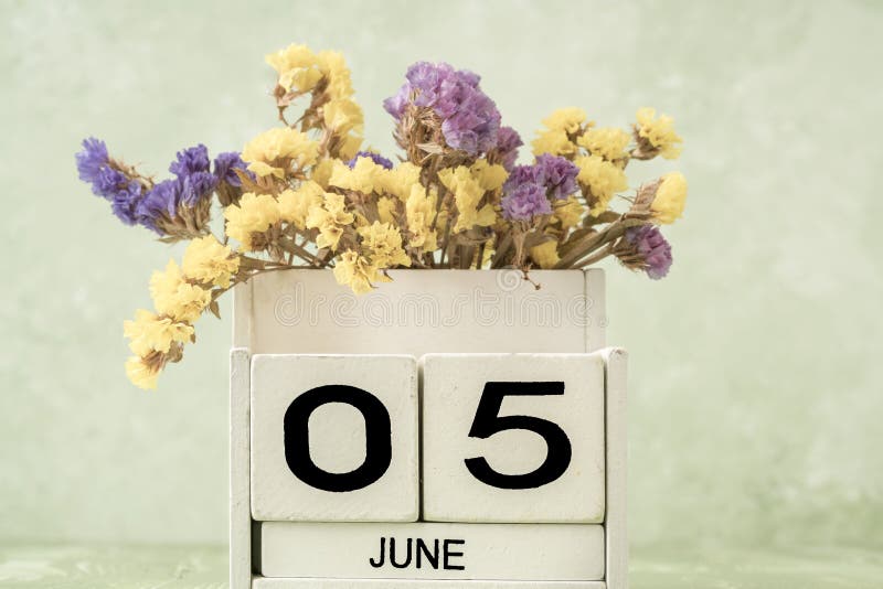 June green grass flowering stock image. Image of details - 38838149