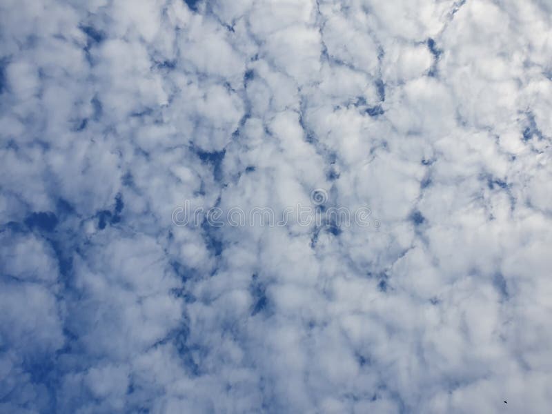 White Cumulus Clouds on a Blue Sky Stock Photo - Image of summer ...