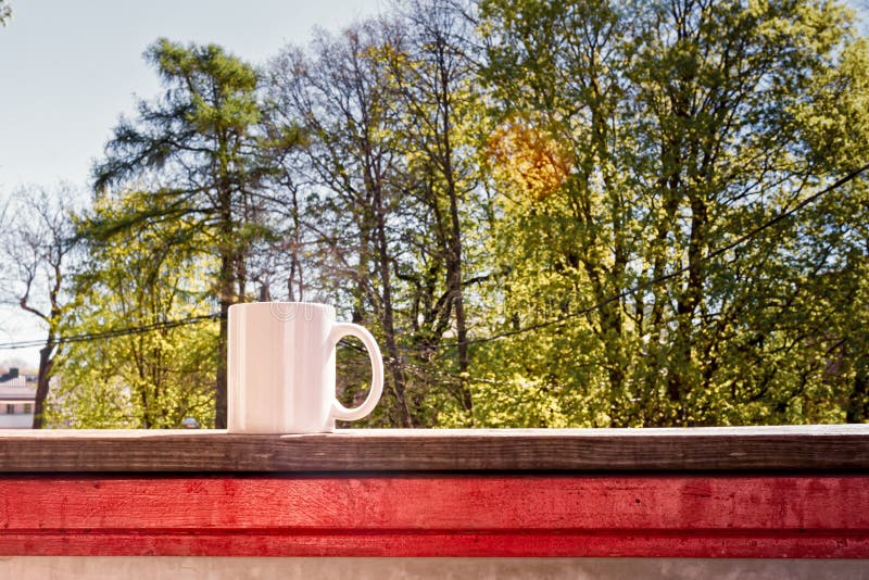 White Cup on a Rail stock image. Image of trees, drink - 92941115