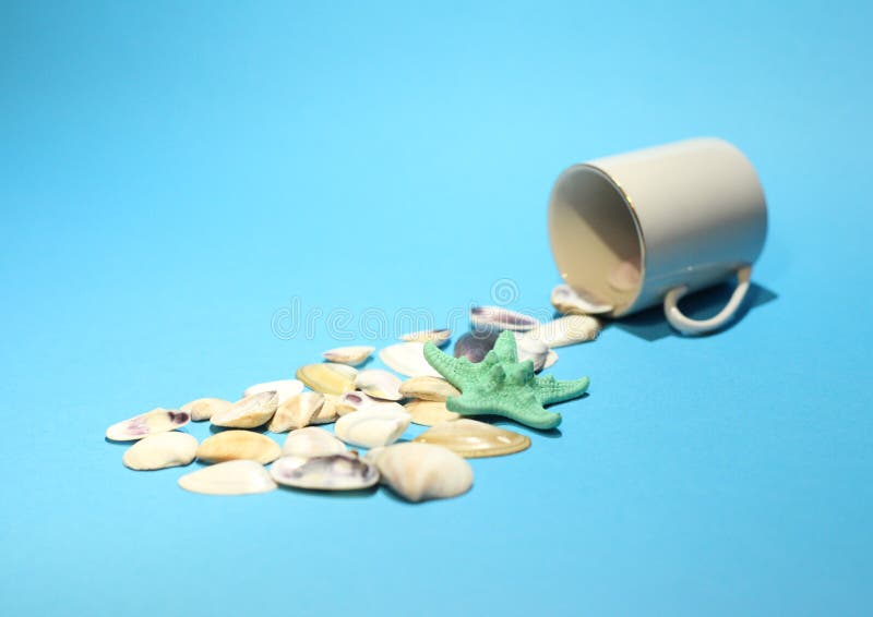 A White Cup Spilled with Shells and a Star Stock Photo - Image of light ...