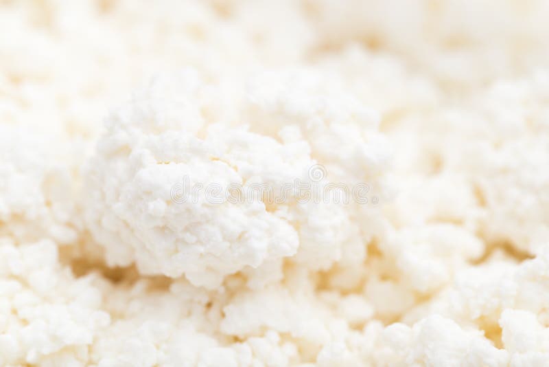 White Curd on the Tongue. a Physician or Gastroenterologist Examines a ...