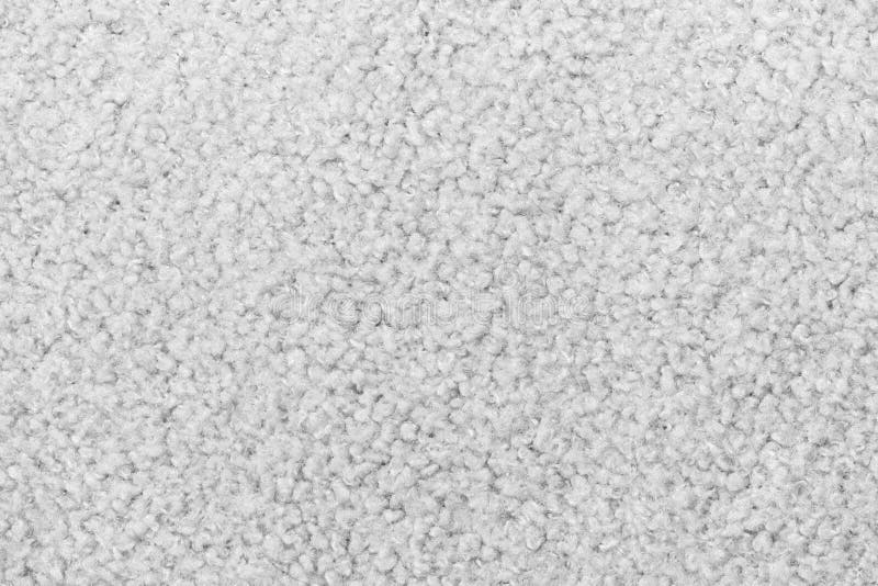 Curly Wool stock image. Image of corkscrew, furry, chamois - 821331