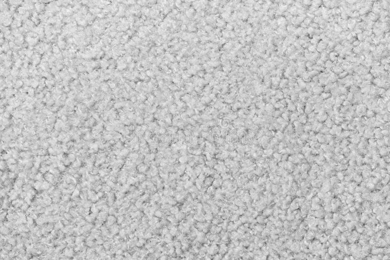 Beige Curly Wool Seamless Texture Background. Texture with Short ...