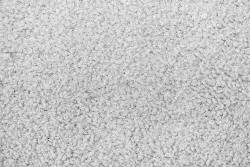 White Curly Wool Seamless Texture Background. Texture with Short ...
