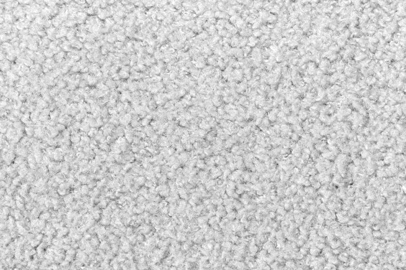 Curly Wool Texture Close Up Stock Photo - Image of abstract, fabric ...