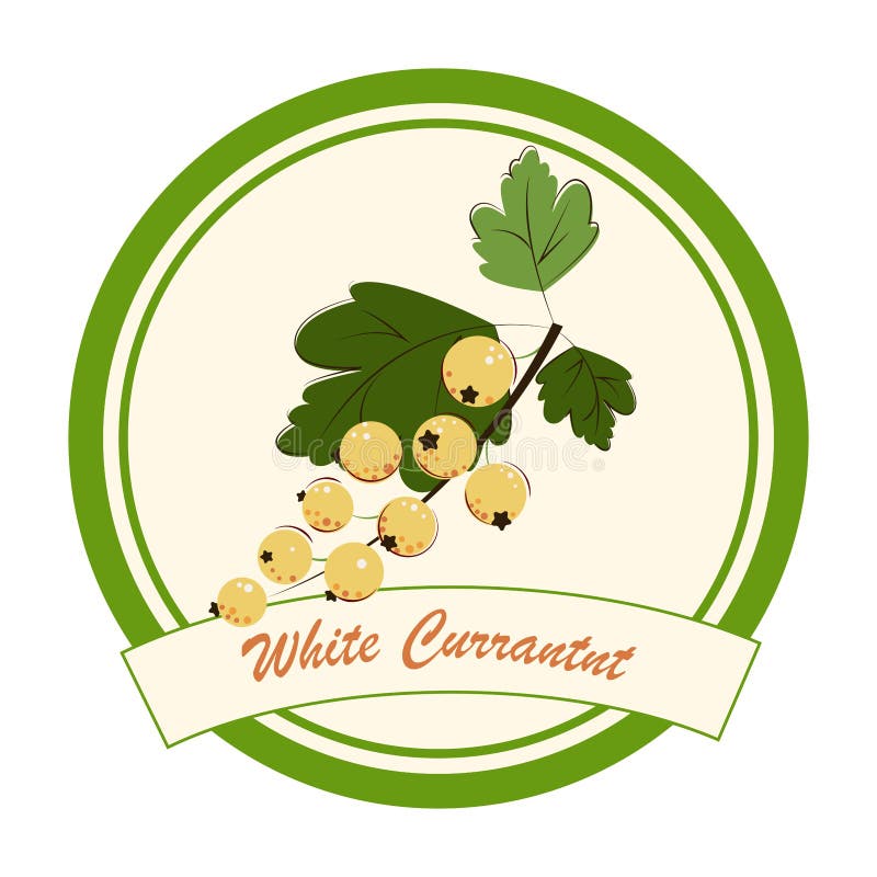 White Currant Jam and Marmalade Label. Ripe Berries for Jam, Dessert ...