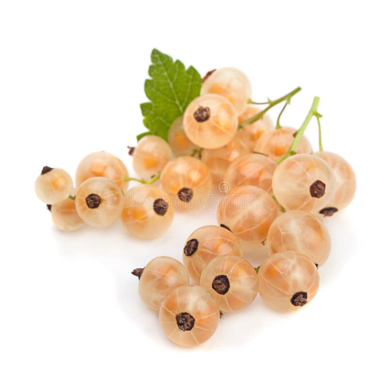 White currant stock photo. Image of nature, ripe, berry - 42286534