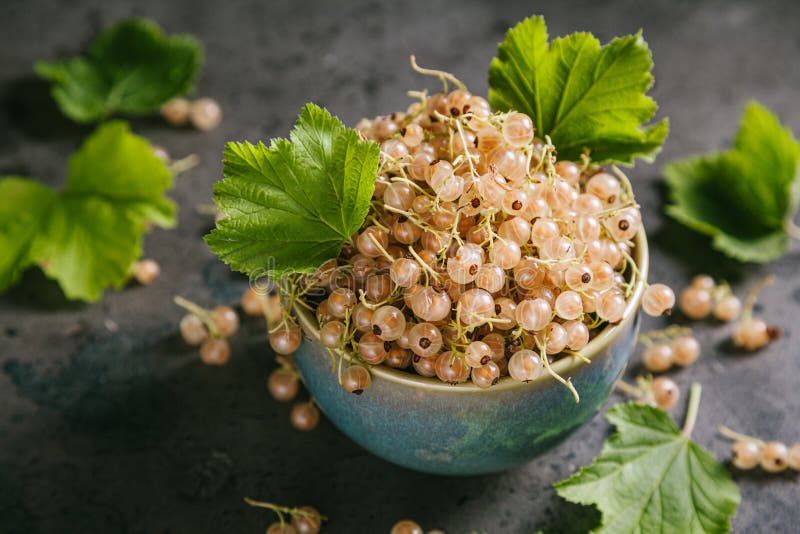 White Currant with Leaves in a Bowl on a Gray Background Stock Image ...