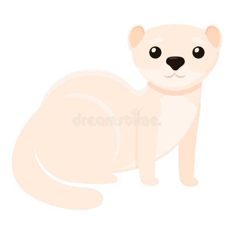 Cute Mink stock vector. Illustration of species, cute - 34769344