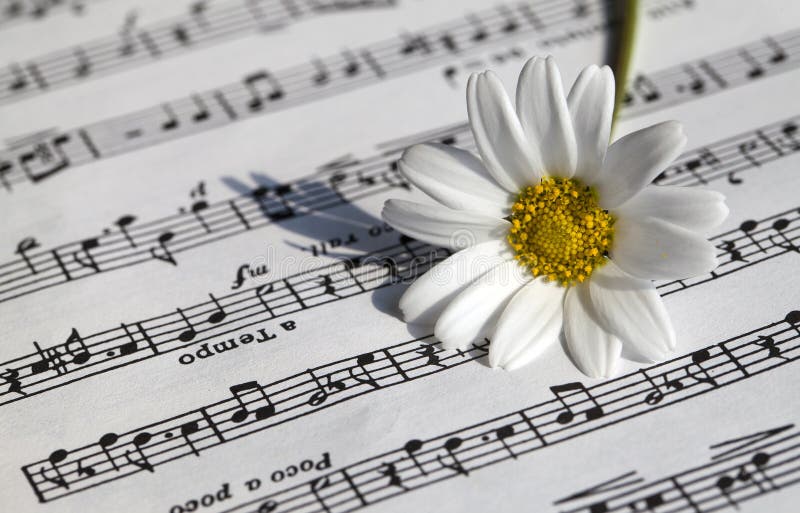 Music Notes Flowers Stock Photos - Download 882 Royalty Free Photos
