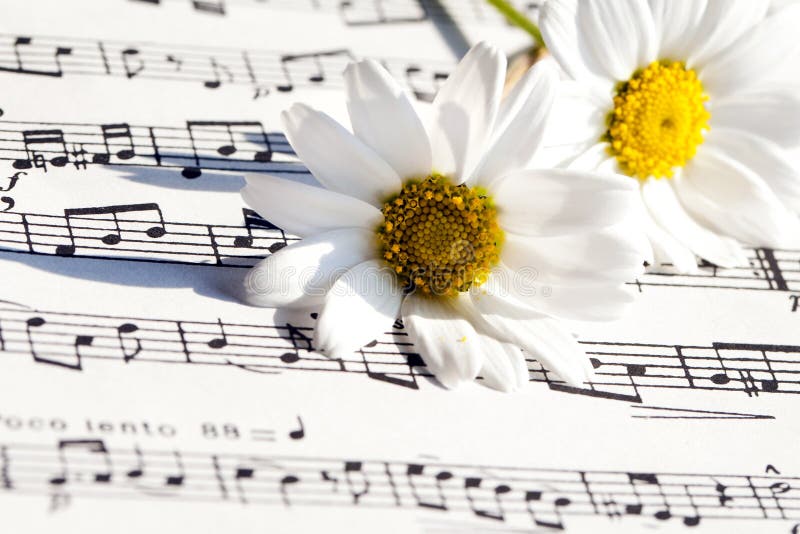 Music Notes Flowers Stock Photos - Download 882 Royalty Free Photos