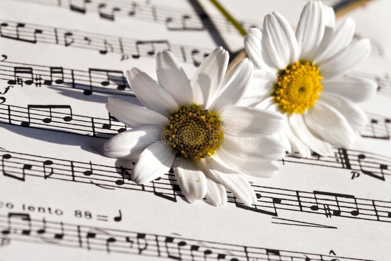 Music Notes Flowers Stock Photos - Download 882 Royalty Free Photos