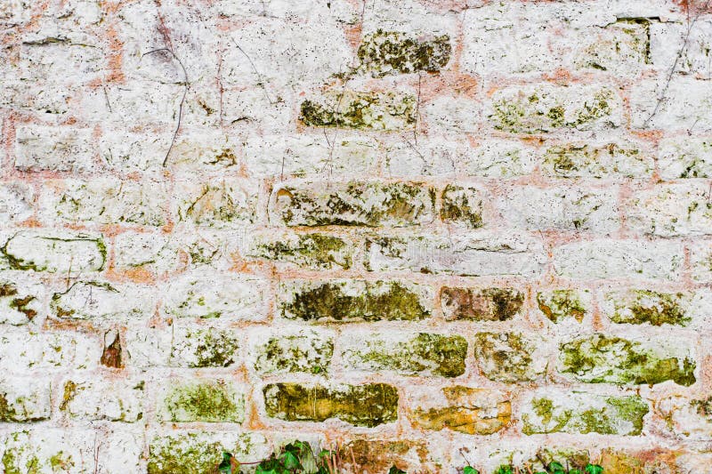 White Decayed Brick Wall Texture Stock Photo - Image of elemental ...