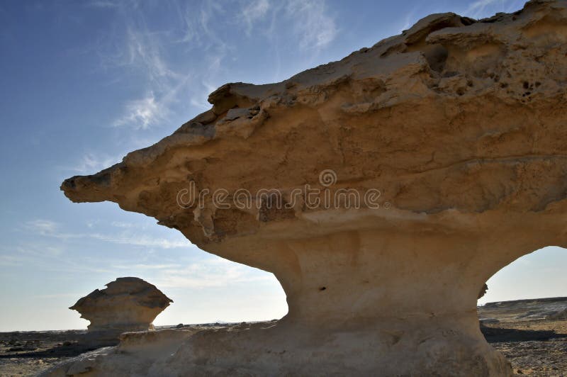 White desert stock photo. Image of safari, desert, holiday - 18466810