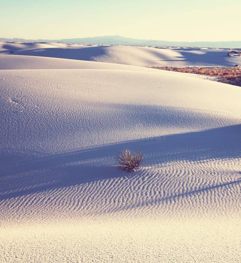 White desert stock image. Image of hummock, natural, nature - 54193941