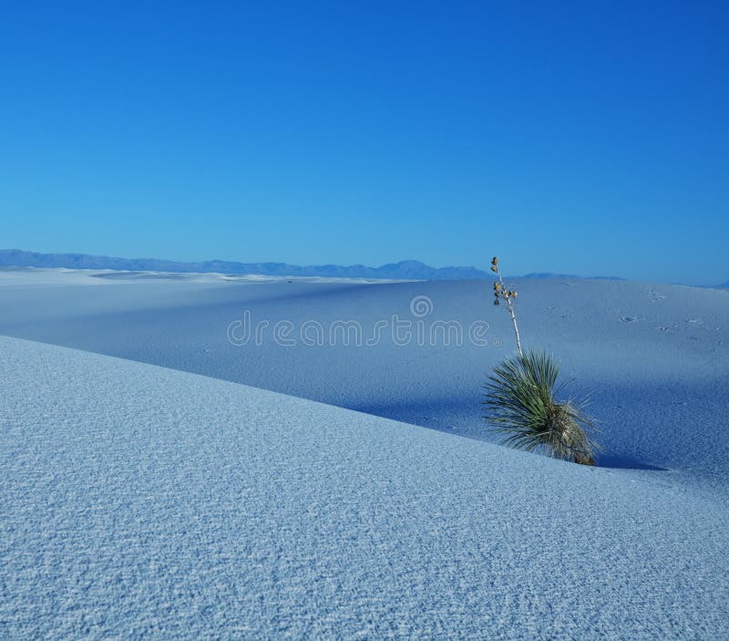 White desert stock photo. Image of park, hill, tourism - 54198128